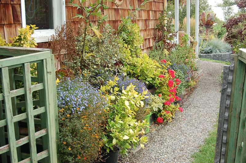Vale's Greenhouse - Black Diamond Alberta. Your Southern Alberta and ...