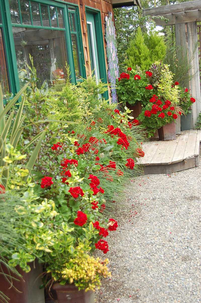 Vale's Greenhouse - Black Diamond Alberta. Your Southern Alberta and ...