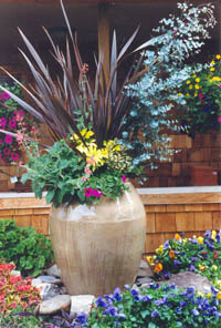 Vale's Greenhouse - Black Diamond Alberta. Your Southern Alberta and ...